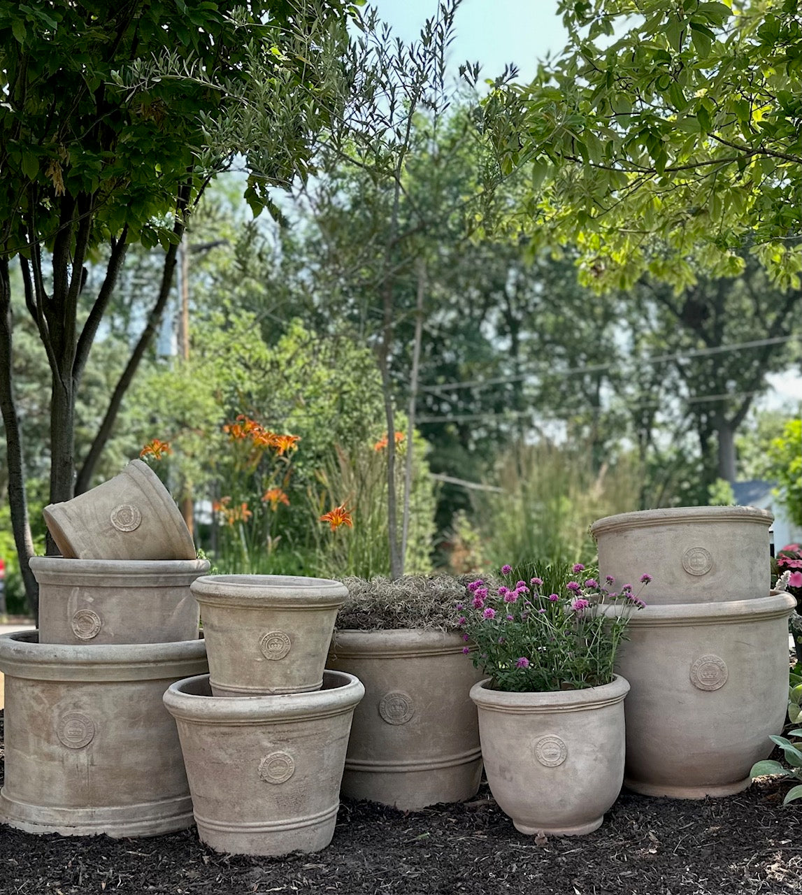 Kew Frostproof Pots Pallet – Botanical Collections