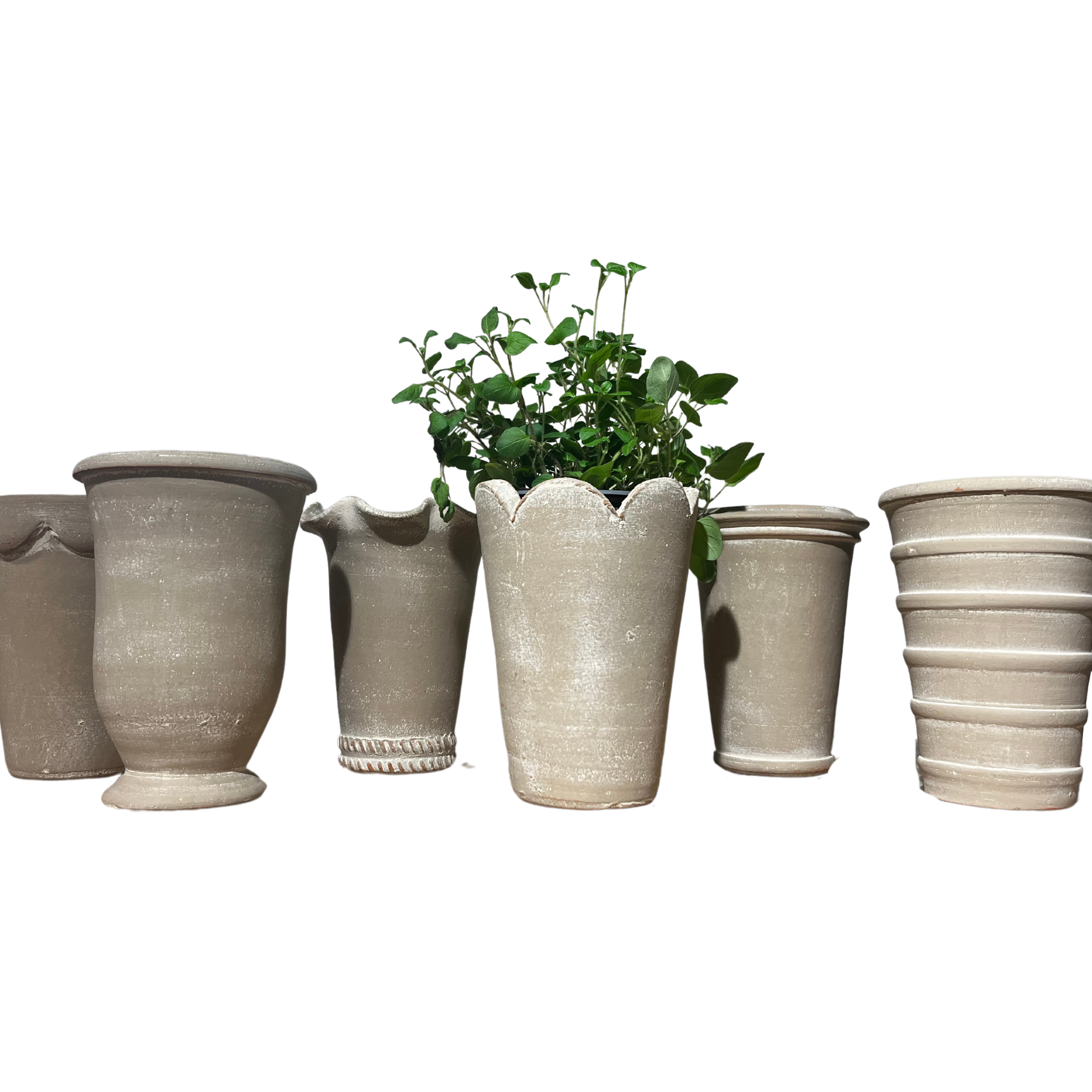 Tall Herb Pots-Set of 6 – Botanical Collections