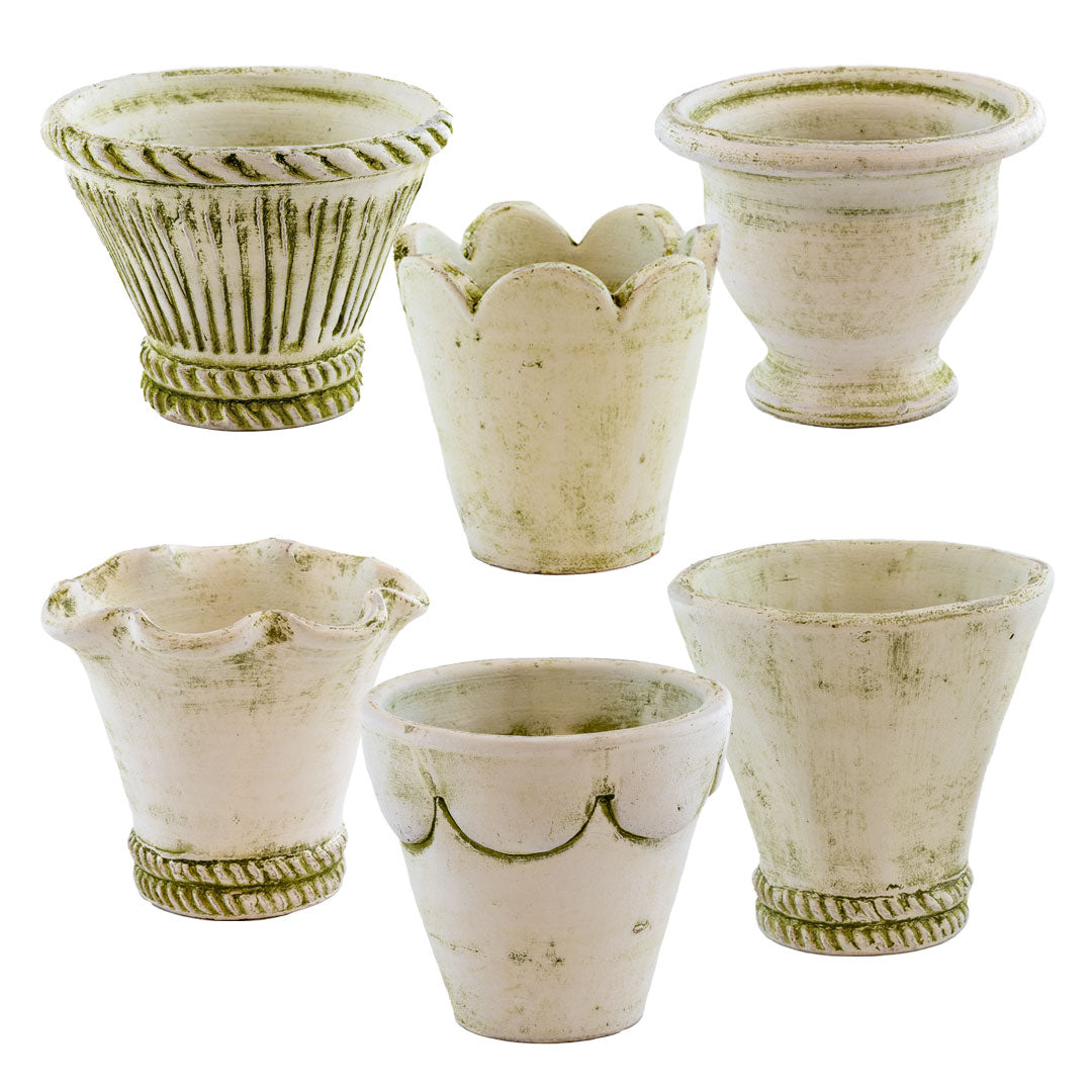 Herb Pots-Set of 6 – Botanical Collections